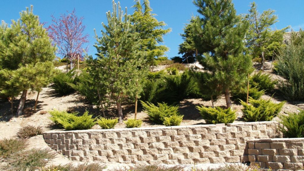 Retaining Wall Types With Pros & Cons, and Design | Structural Consultancy
